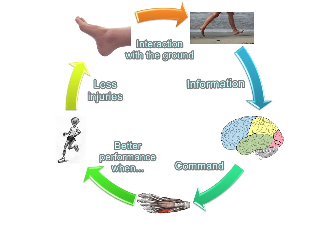Navigating the Maze: How Dementia Alters Proprioception and What You ...